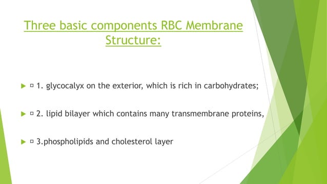 Rbc Structure and Physiology | PPTX | Blood Disorders | Diseases and ...