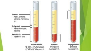 Rbc Structure and Physiology | PPTX
