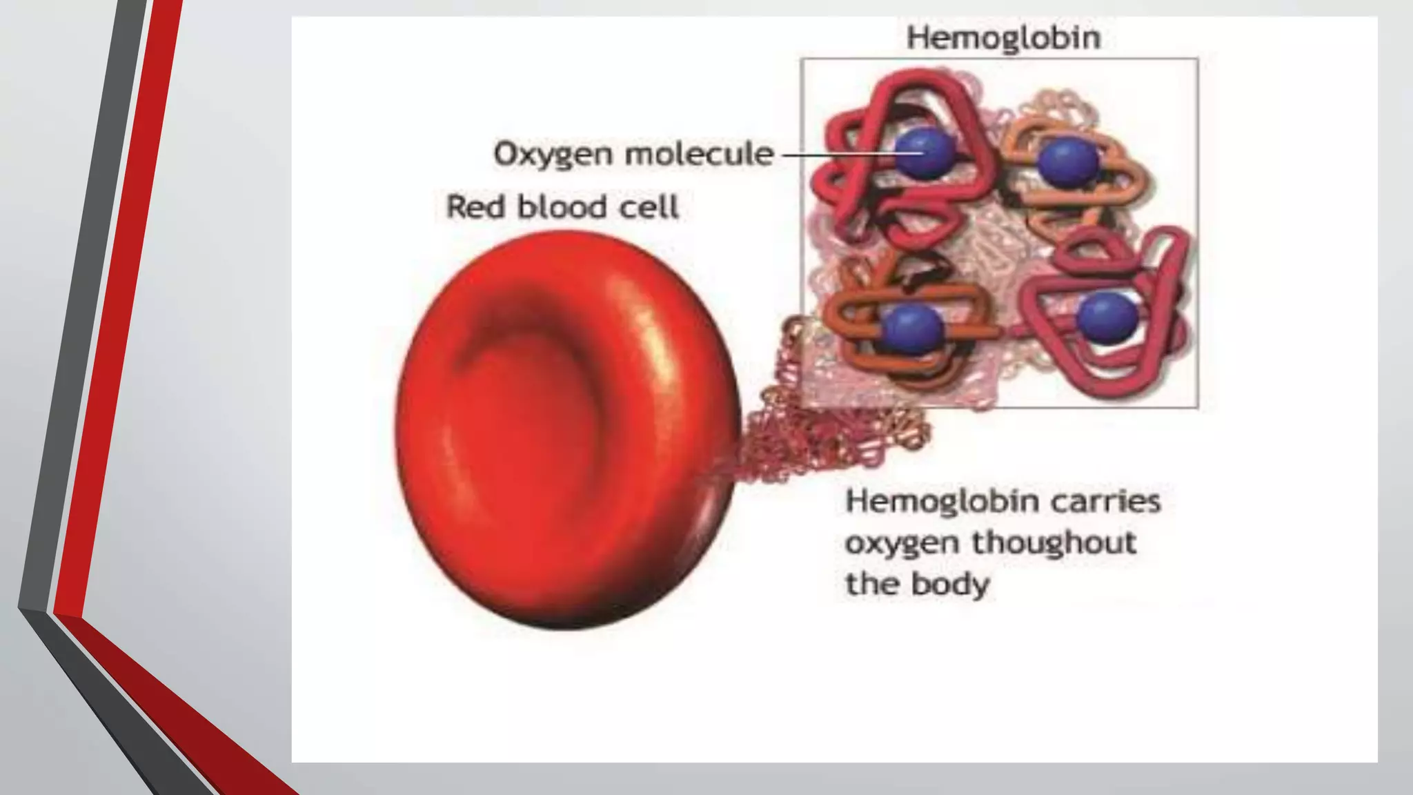 RED BLOOD CELLS (RBC) | PPTX