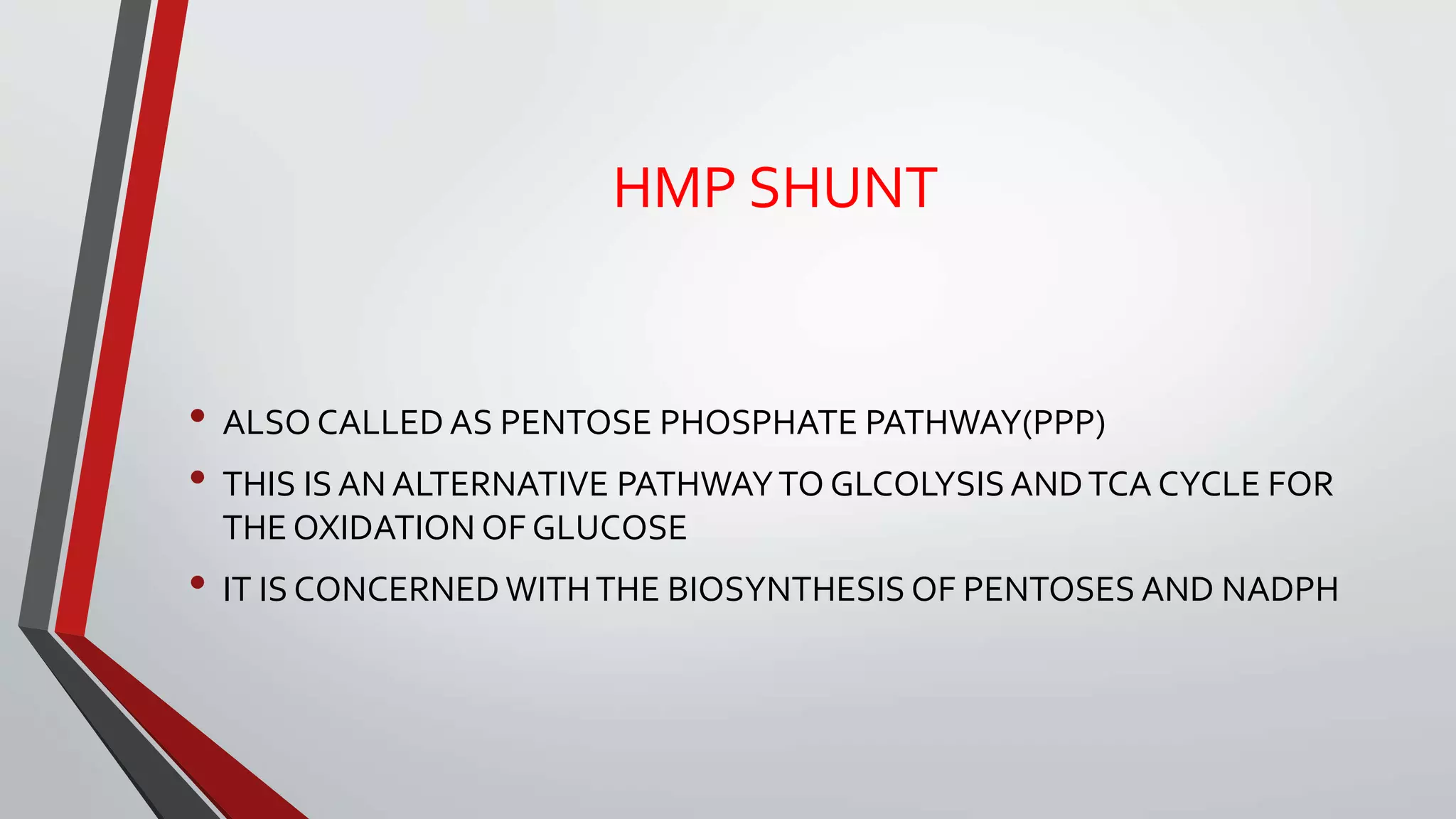 RED BLOOD CELLS (RBC) | PPTX