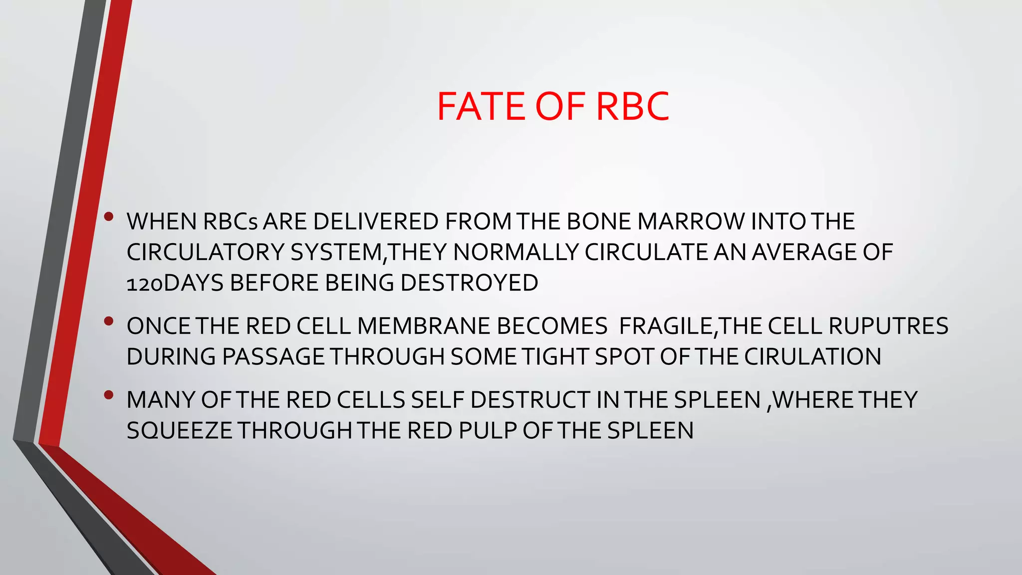 RED BLOOD CELLS (RBC) | PPTX