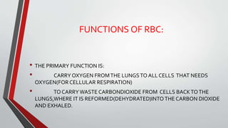 Red Blood Cells (rbc) | Pptx