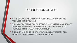 RED BLOOD CELLS (RBC) | PPTX