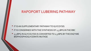 RED BLOOD CELLS (RBC) | PPTX