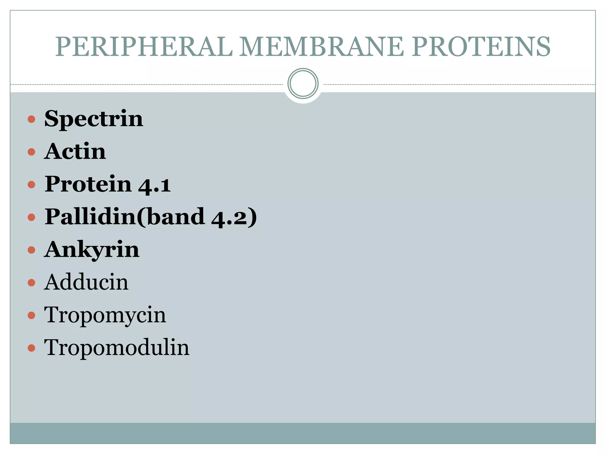 Rbc structure and metabolism | PPTX