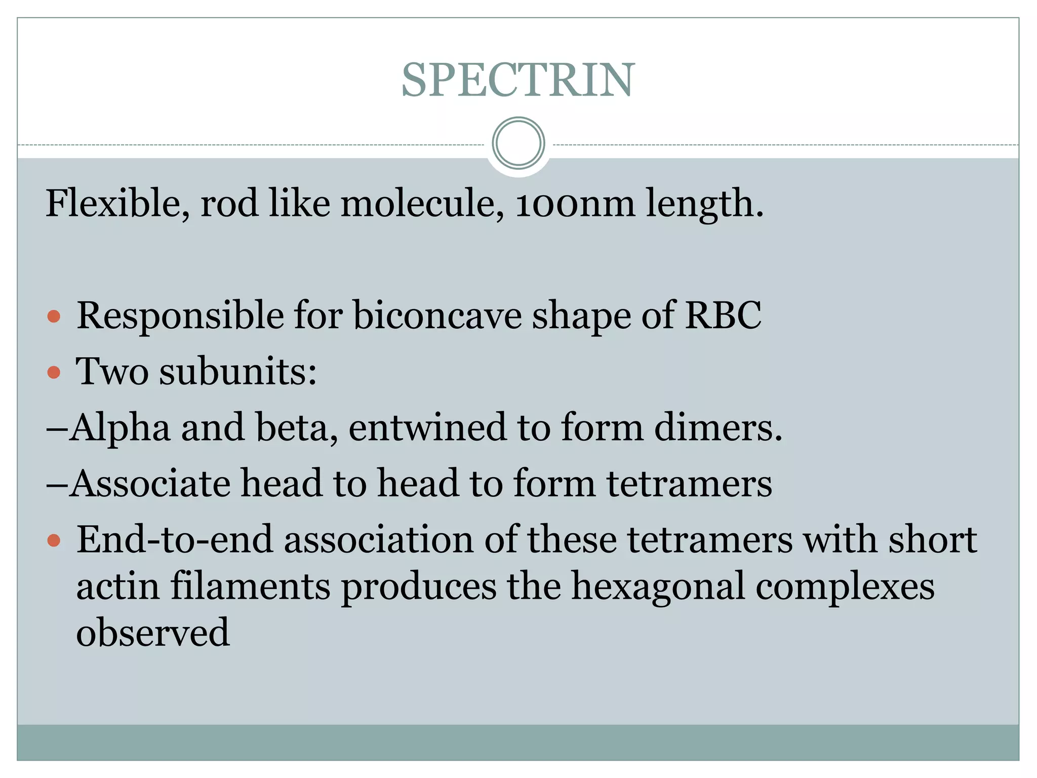 Rbc structure and metabolism | PPTX