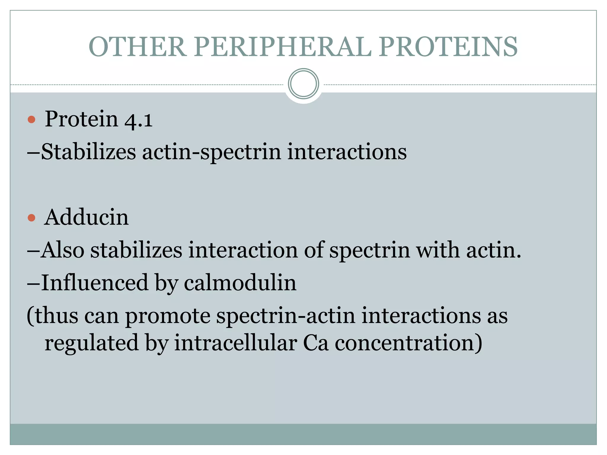 Rbc structure and metabolism | PPTX