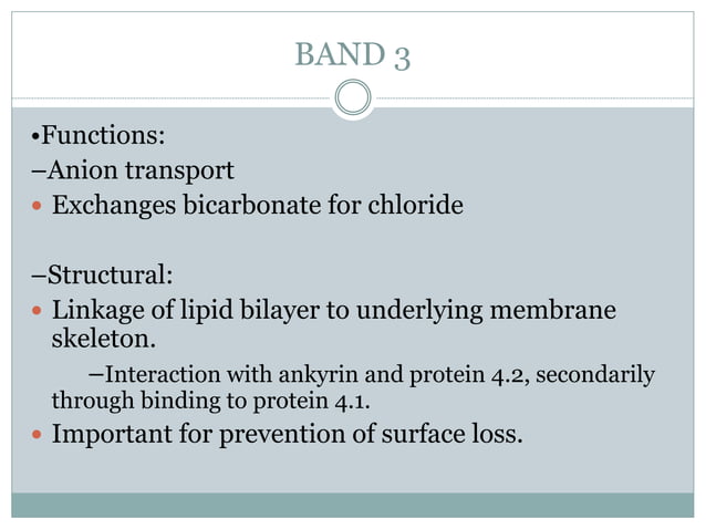 Rbc structure and metabolism | PPTX | Chemistry | Science