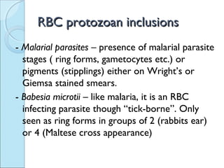 RBC Variation | PPT