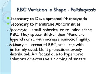 RBC Variation | PPT