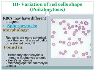 RBC & WBC abnormalities and their interpretation | PPTX