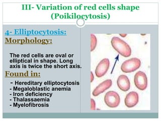 RBC & WBC abnormalities and their interpretation | PPTX