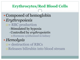 RBC & WBC abnormalities and their interpretation | PPTX