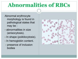 RBC & WBC abnormalities and their interpretation | PPTX