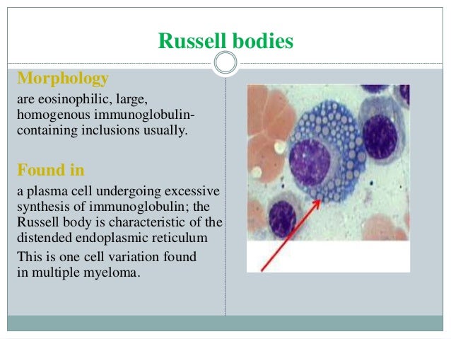 RBC & WBC abnormalities and their interpretation