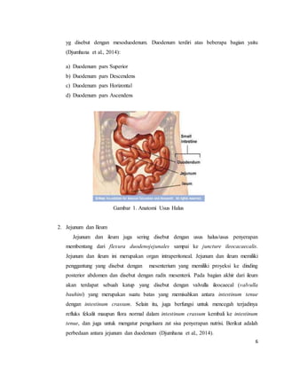 Rbd ileus fix | DOCX