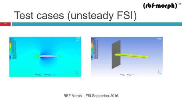 RBF Morph FSI features | PPT
