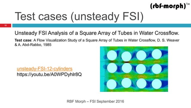 RBF Morph FSI features | PPT