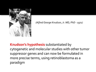 Rb gene and cell cycle | PPT
