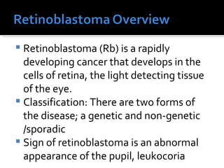 Retinoblastoma Protein Cell Cycle