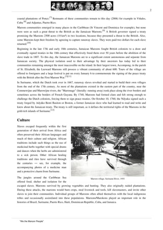 RBG: We the Maroon People | PDF