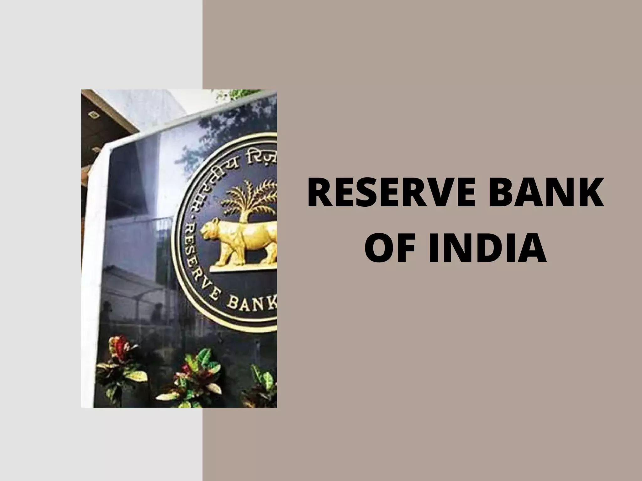 RBI.pdf
