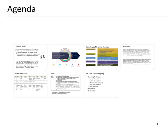 Risk Based Internal Audit and Sampling Techniques | PDF | Financial Regulation | Economy