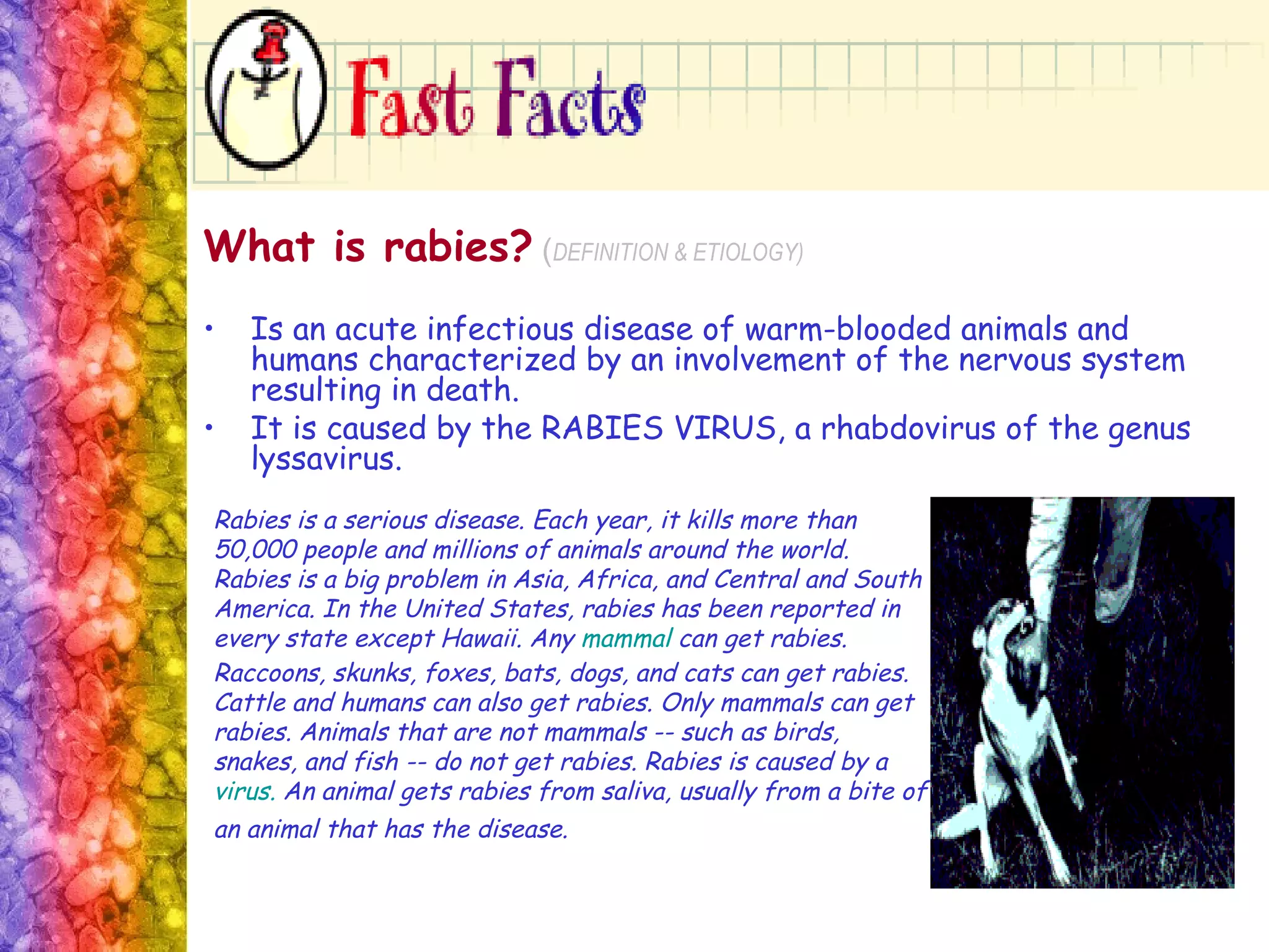 Rabies | PPT