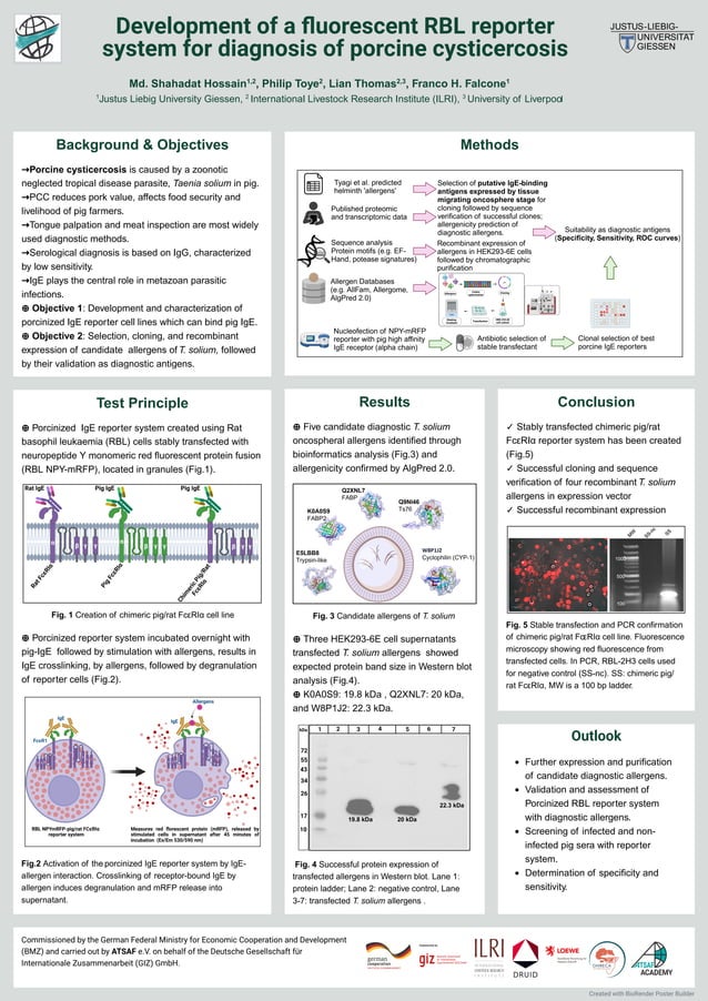 Development of a fluorescent RBL reporter system for diagnosis of ...