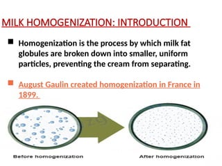 Rbn_Milk_homogenizaton_and_Emulsification.pptx