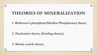 Theories of mineralization | PPTX