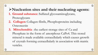 Theories of mineralization | PPTX