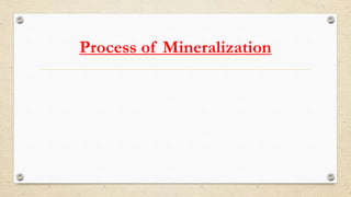 Theories of mineralization | PPTX