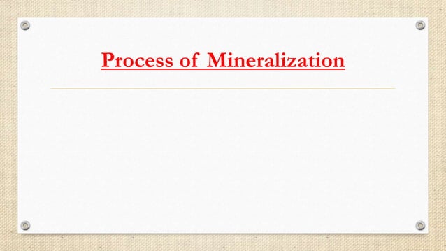Theories of mineralization | PPTX | Chemistry | Science