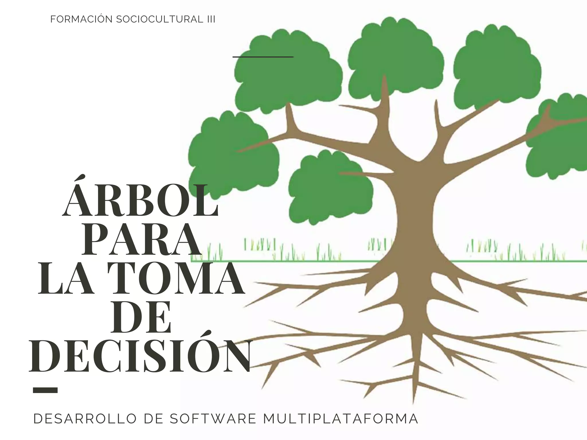 Árbol de Toma de Decisiones para la Formación Sociocultural: Una ...