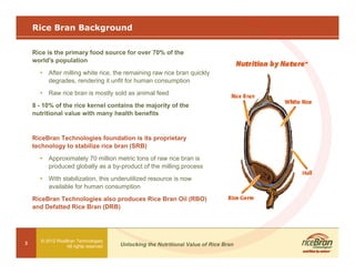 Rbt corporate-presentation | PDF