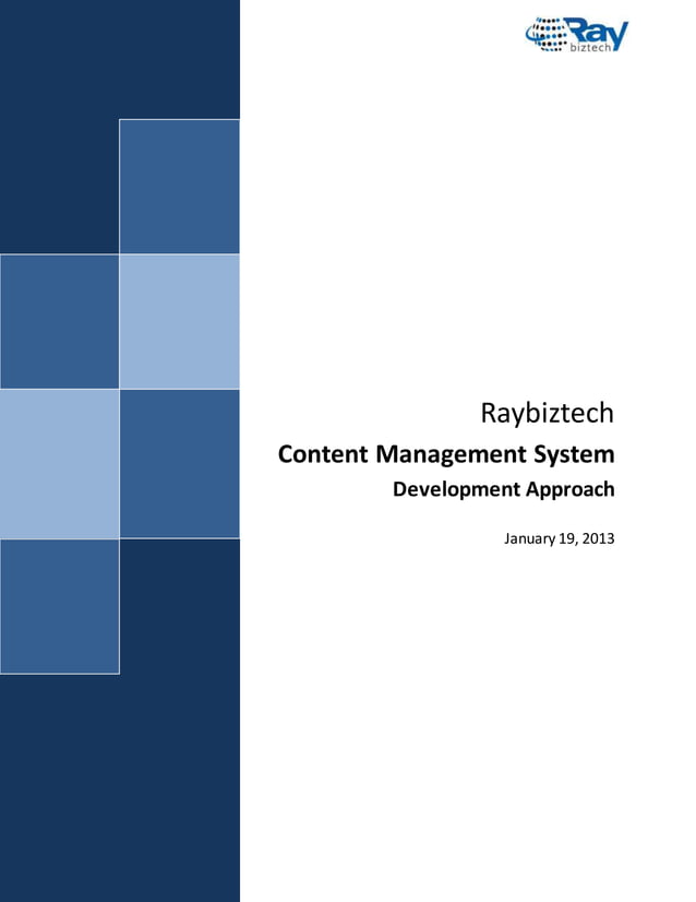 Raybiztech Content Management Approach | PDF