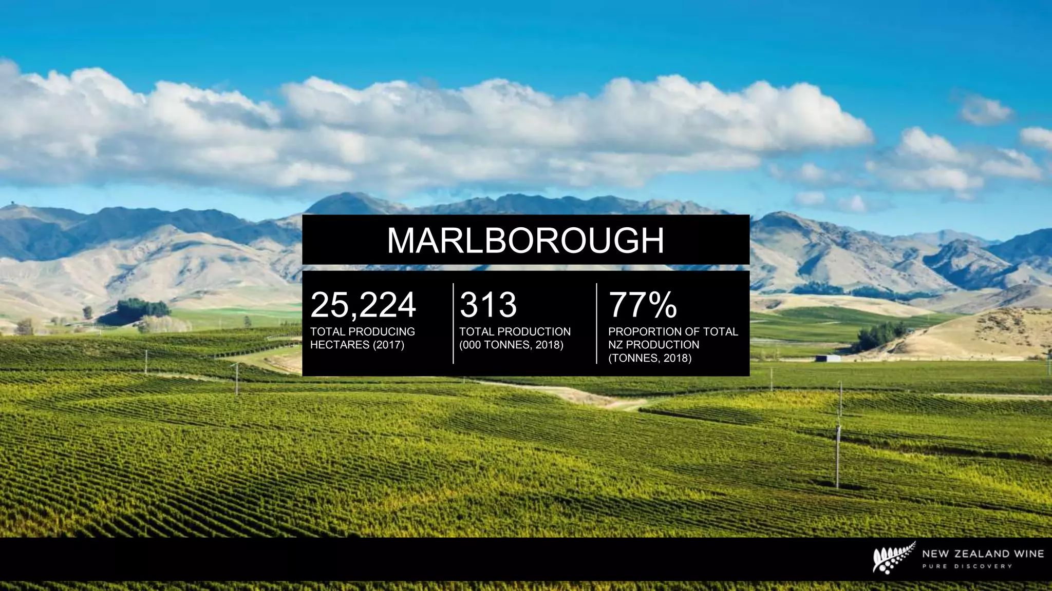 Marlborough Masterclass with Ronan Sayburn MS | PPTX
