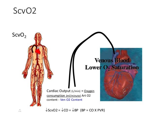 Relative Blood Volume Monitoring and Applications in Dialysis