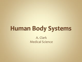 Human body systems ppt | PPTX
