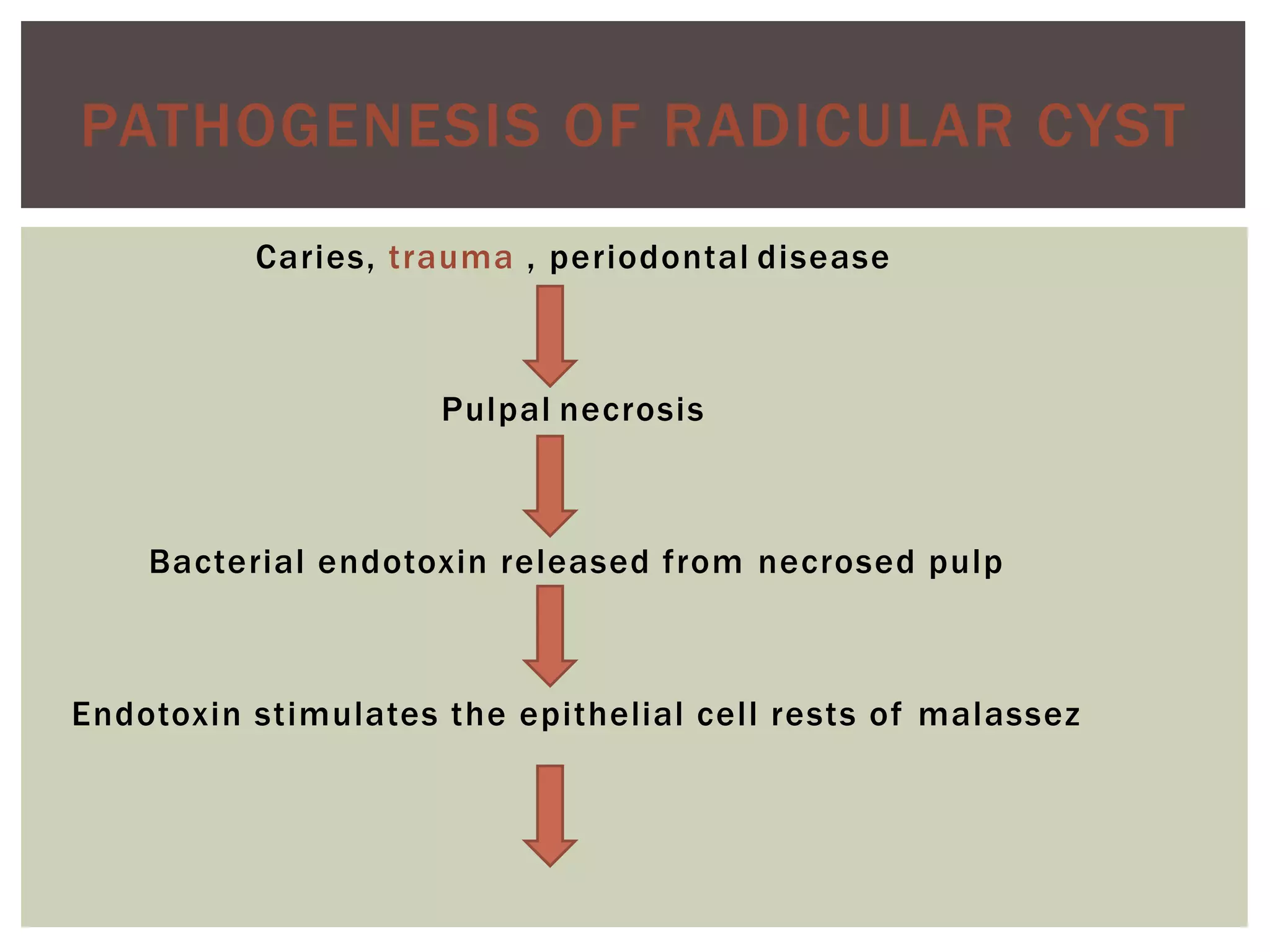 Radicular cyst | PPTX