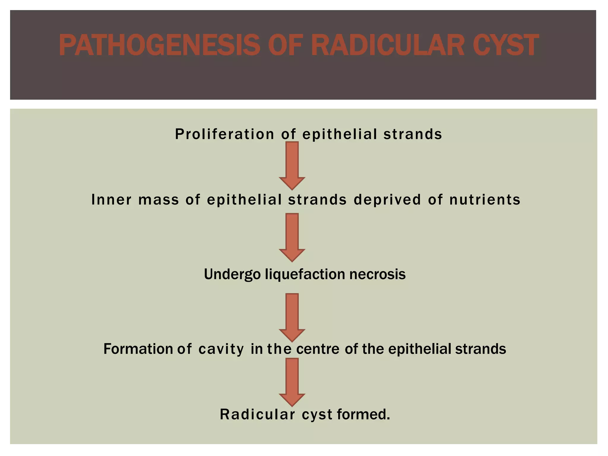 Radicular cyst | PPTX