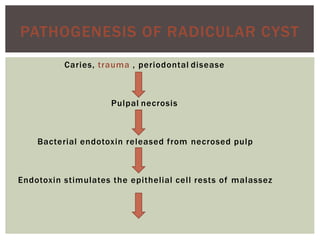 Radicular cyst | PPTX