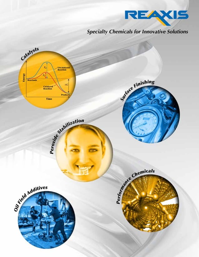 Reaxis Corporate Brochure | PDF