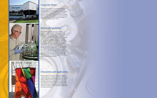 Reaxis Corporate Brochure | PDF