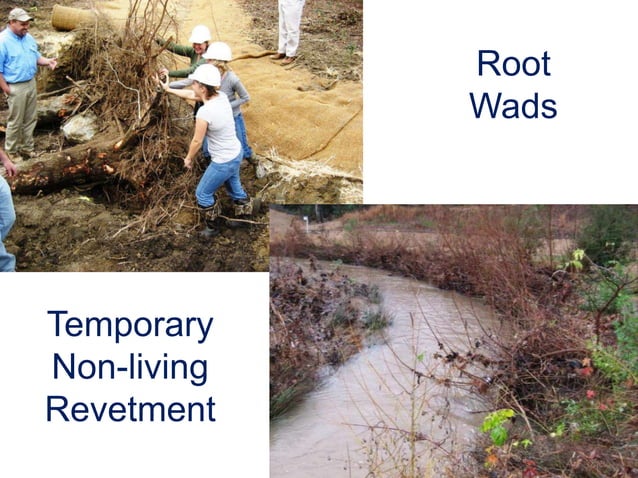 Rc201 day 3 jennings 10 | PPT