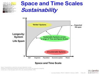 Scales and Sustainability | PPT