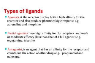 2.pharmacodynamics | PPT