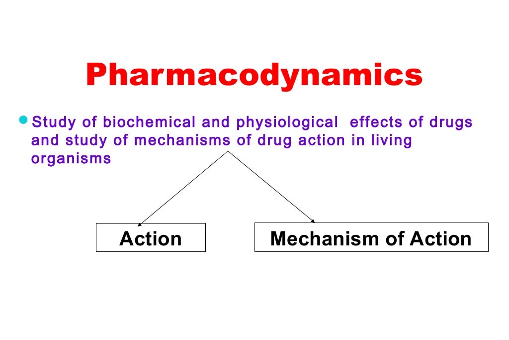2.pharmacodynamics