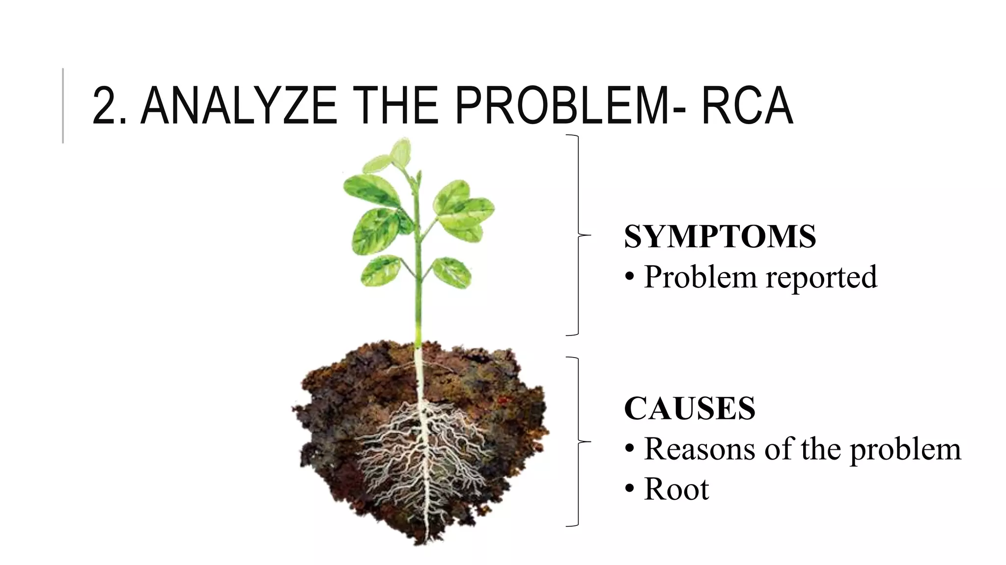 Structured Problem Solving (Correction, Corrective Action, Preventive ...